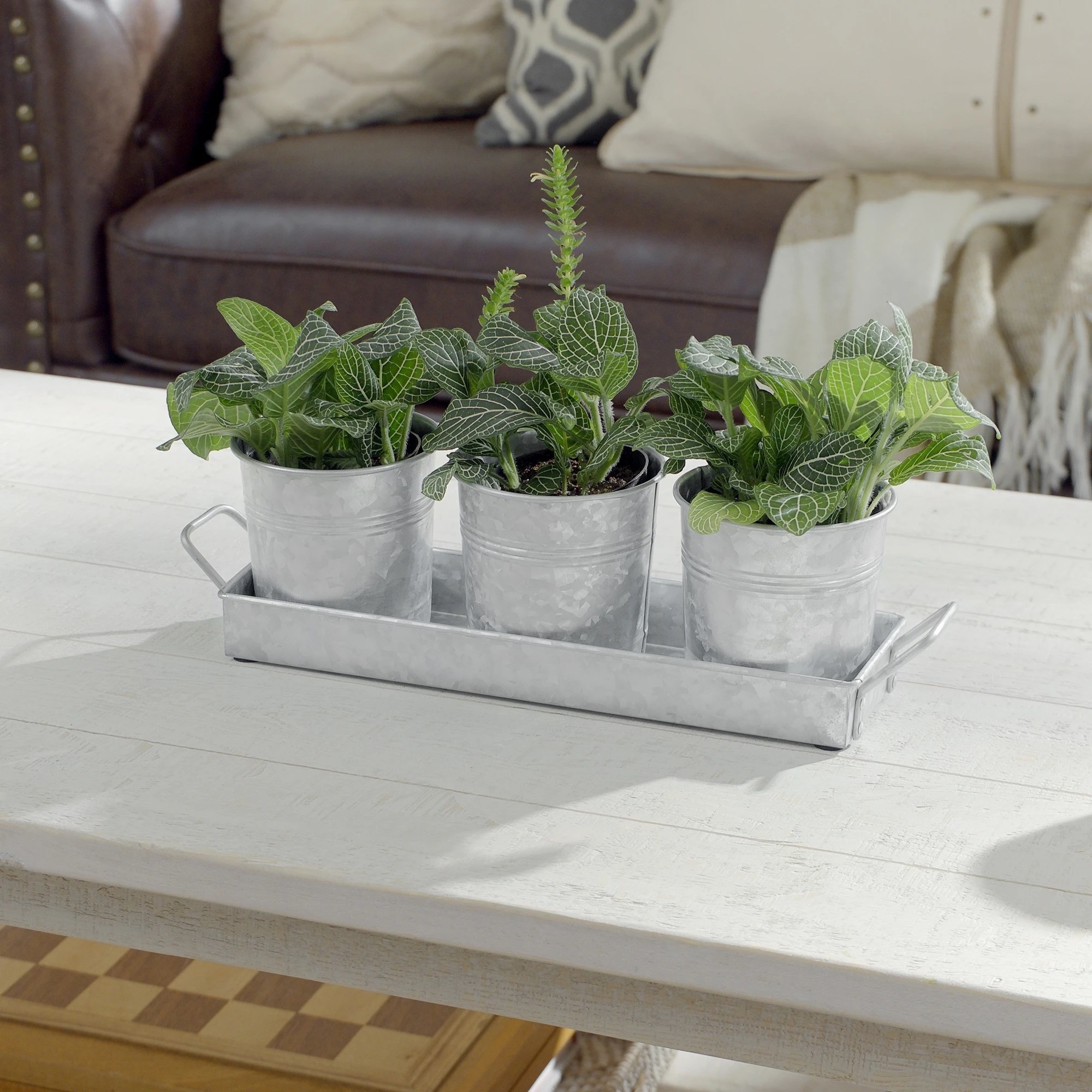 Farmhouse Decor Style Outdoor Garden Flower Pots by Walford Home Arrive ...